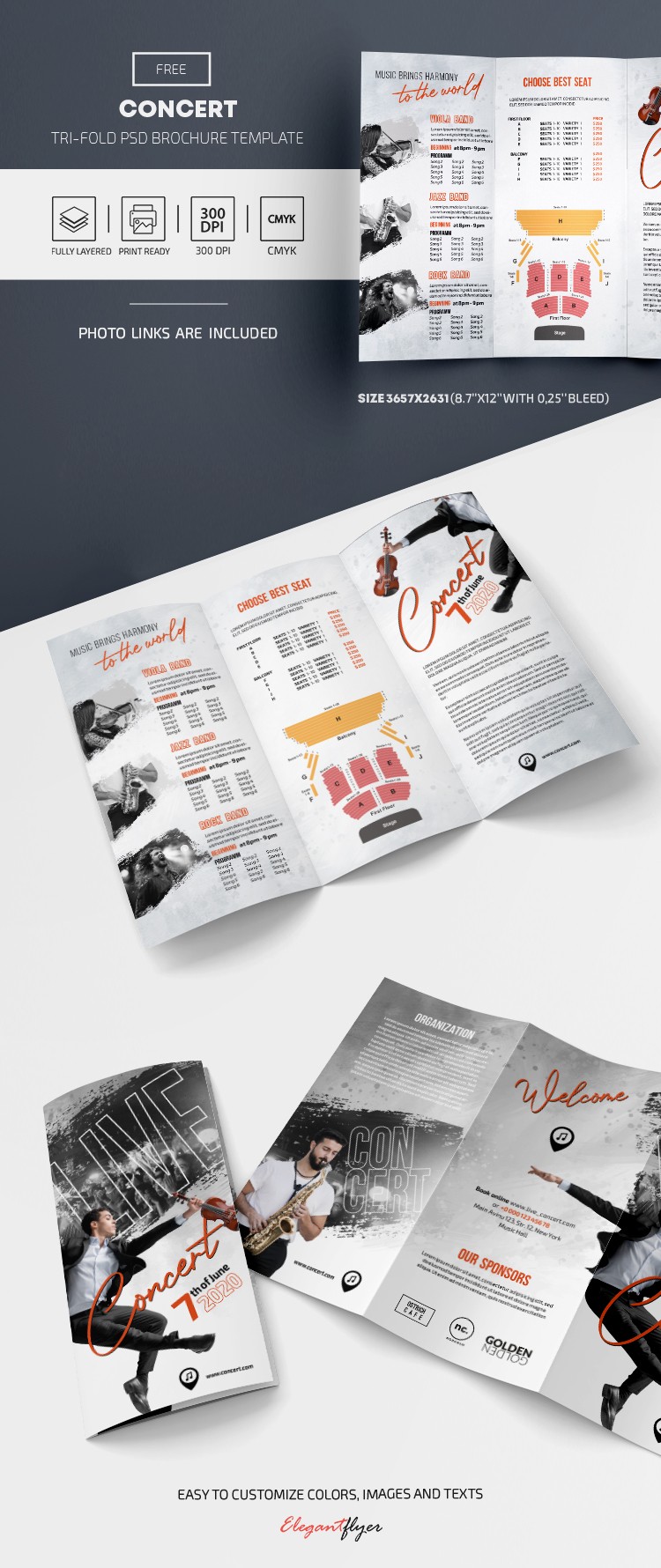Concert Mod le De Brochure PSD Tri Fold Gratuit 10026933 By 