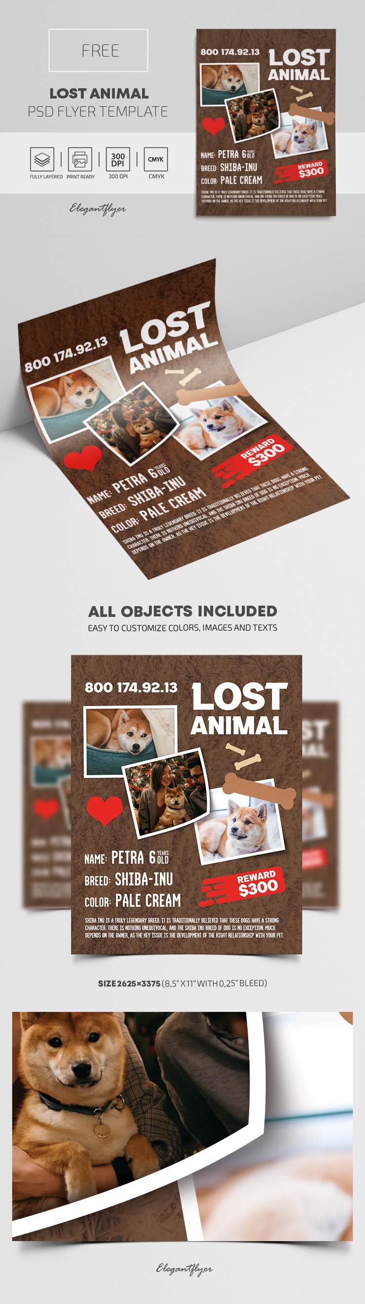 Lost Animal Free PSD Flyer Template 10027725 By ElegantFlyer