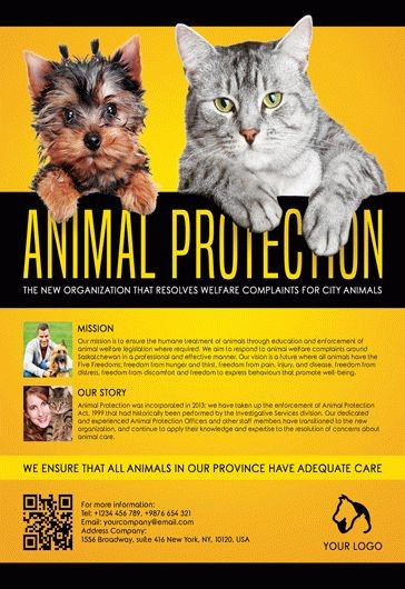 Flyers de Animais de Estimação Grátis | elegantflyer.com