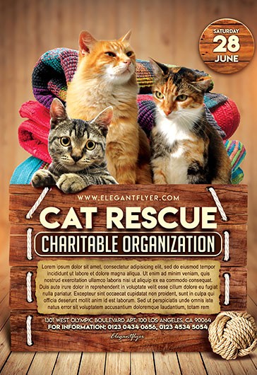 Brown Exclusive Cat Rescue Premium Flyer Template PSD | by Elegantflyer