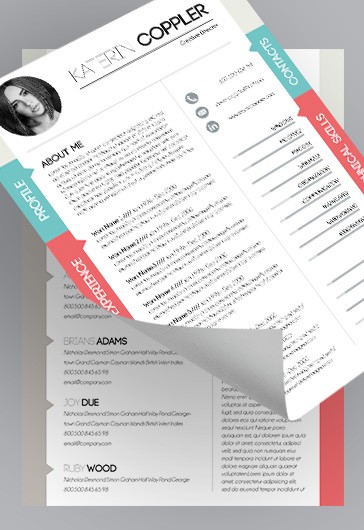 1000+ Free CV Templates in PSD by Pro Designers