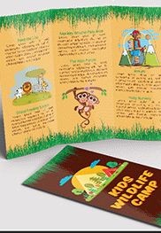 Kids Wildlife Camp - Tri-Fold Brochure PSD Template - 10017793 | by ...