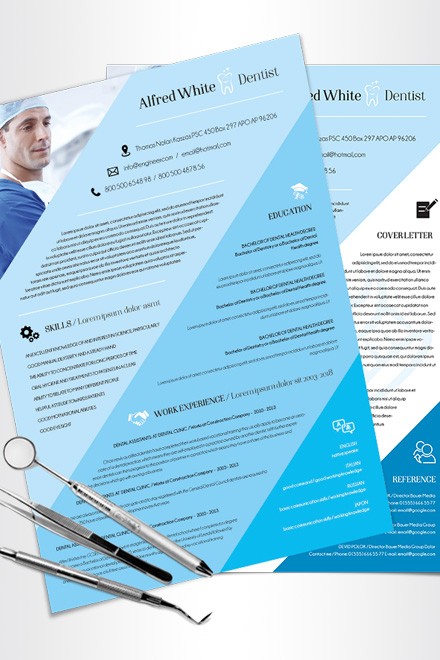 1000+ Free Professional CV Templates in PSD by Pro Designers