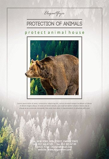 Free Pets Flyers | elegantflyer.com