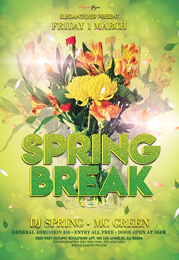 Template for Spring Break Music Party - 10017753 | by ElegantFlyer